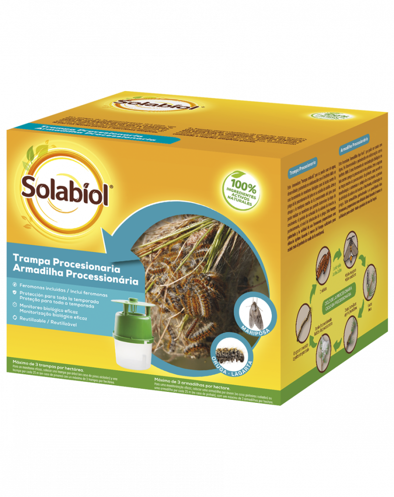 Download Pino Png PNG Image with No Background - PNGkey.com