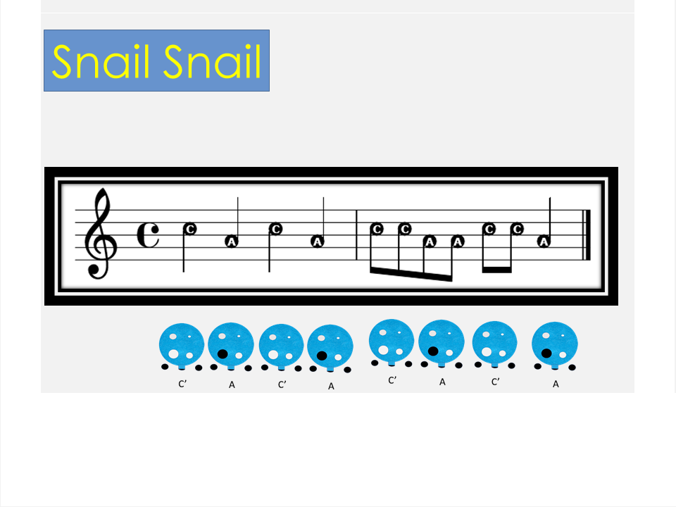 Download Snail Snail PNG Image with No Background - PNGkey.com