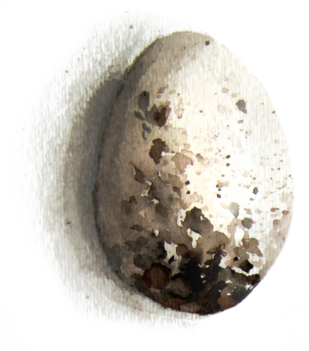 Download 696-2505 • 60 Furman St PNG Image with No Background - PNGkey.com