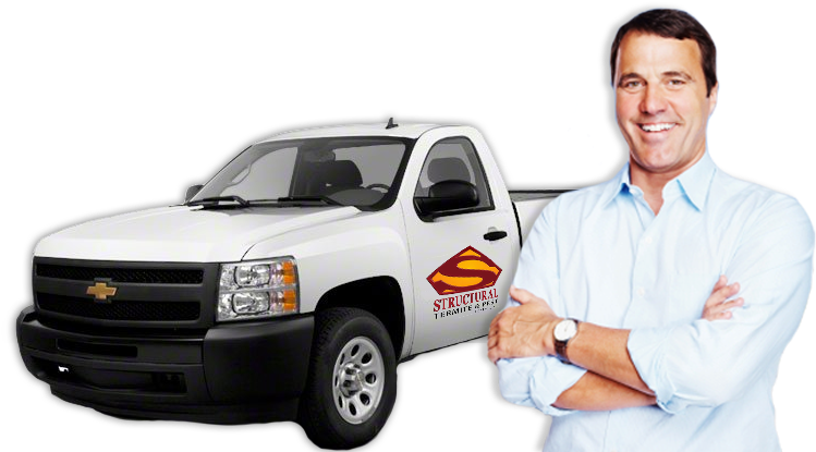 Download Termite-inspector PNG Image with No Background - PNGkey.com