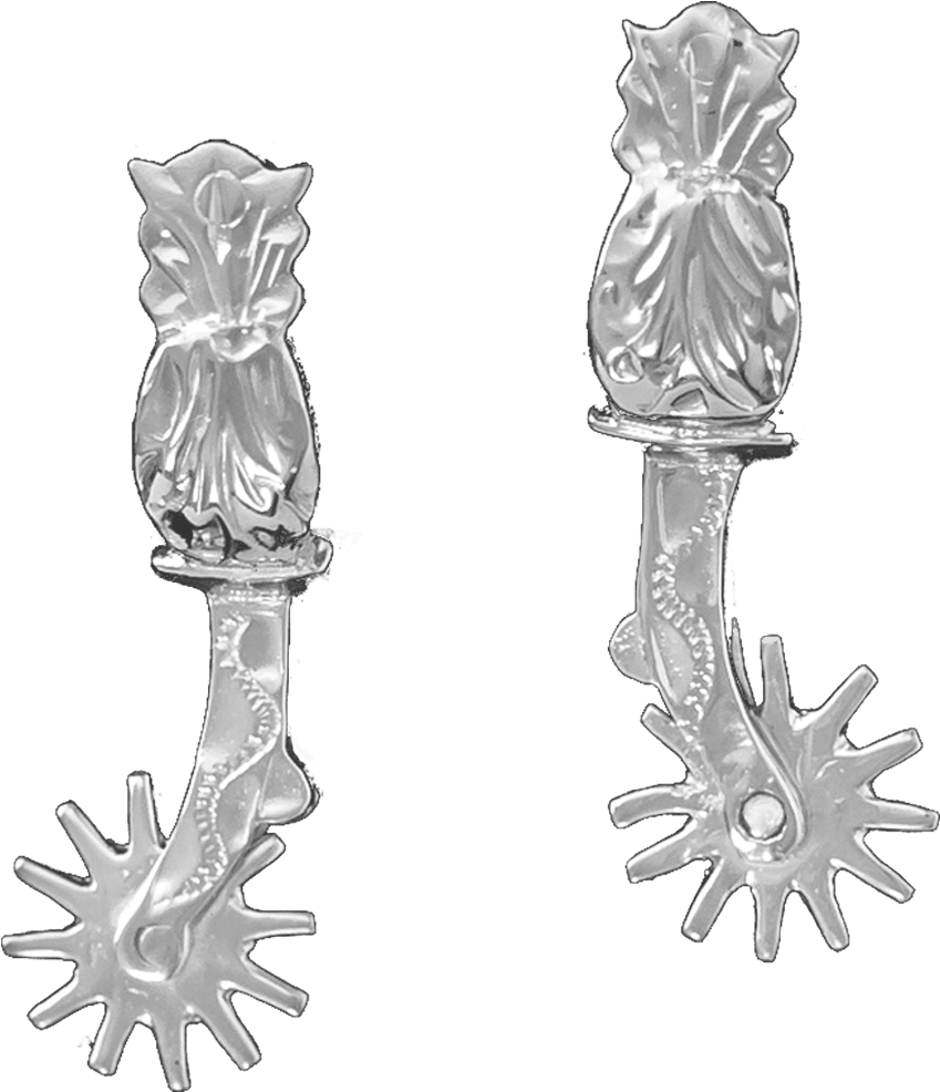 Download Sterling Silver Buckaroo Spurs PNG Image with No Background ...