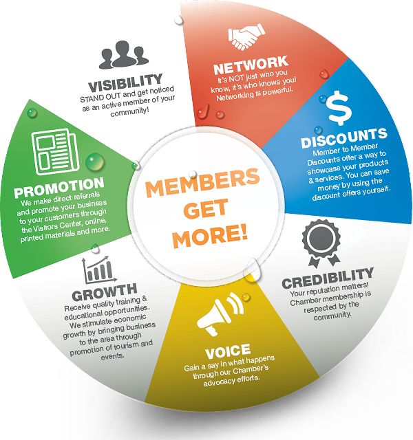 Download Beachball PNG Image with No Background - PNGkey.com