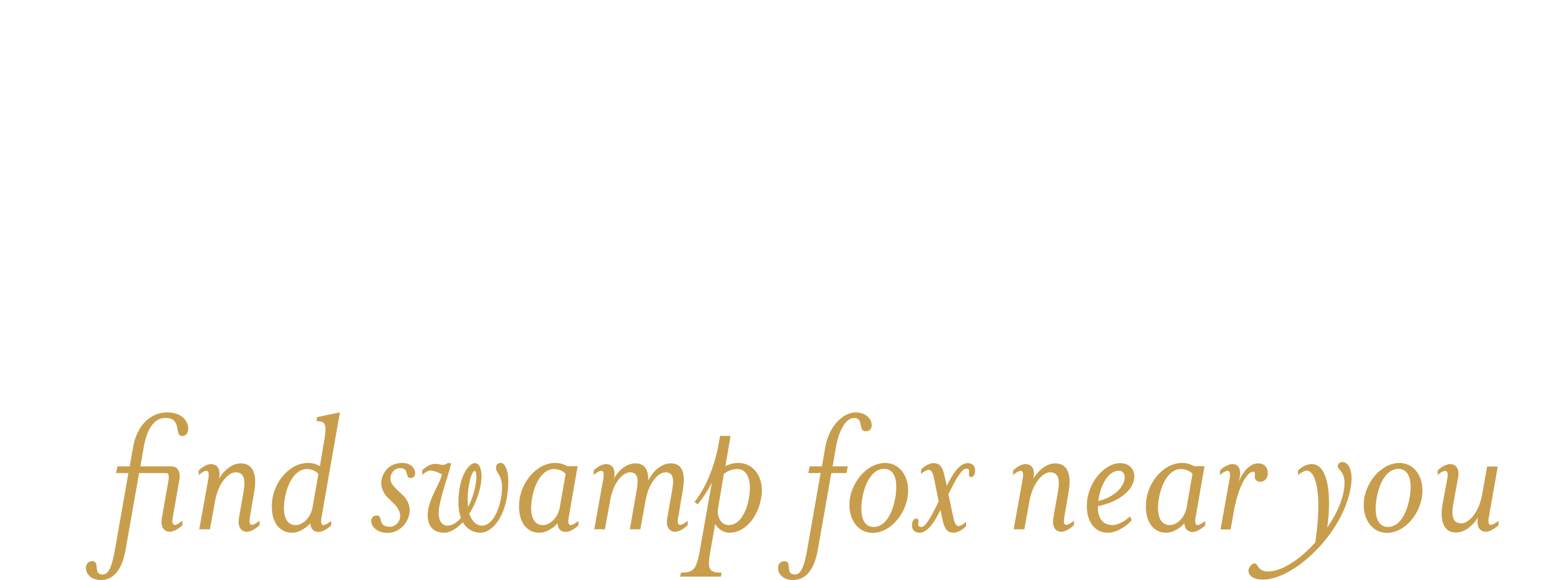 Download Fox Shine Png PNG Image with No Background - PNGkey.com