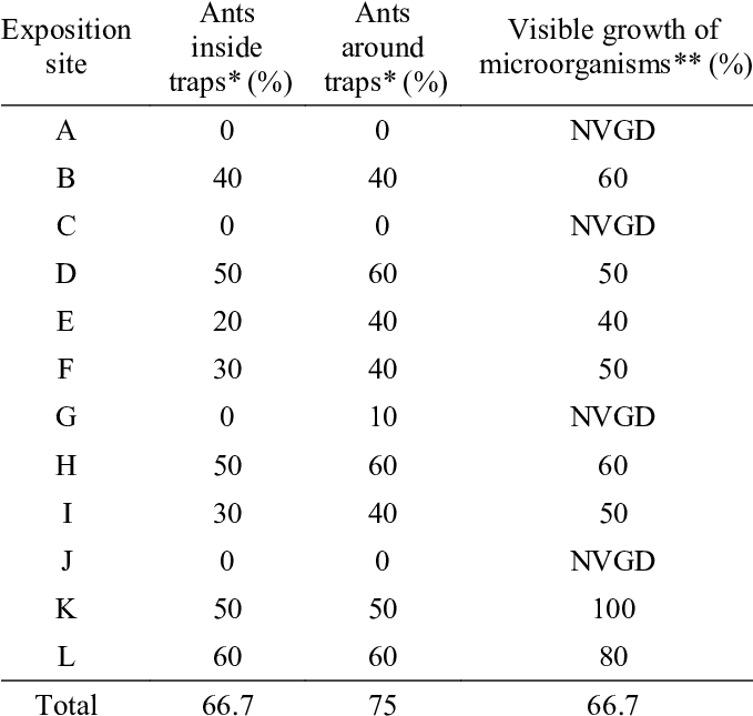 Download Of Ants Inside And Around Traps, Visible Growth Of PNG Image ...