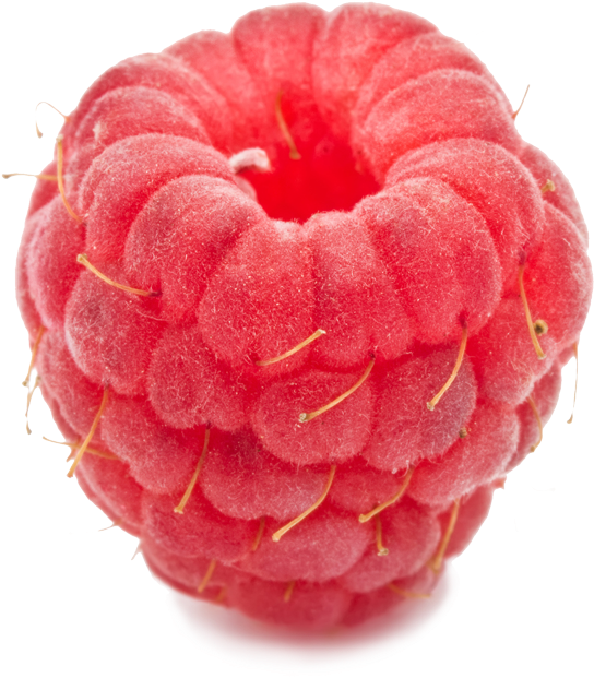 Download Raspberry PNG Image with No Background - PNGkey.com