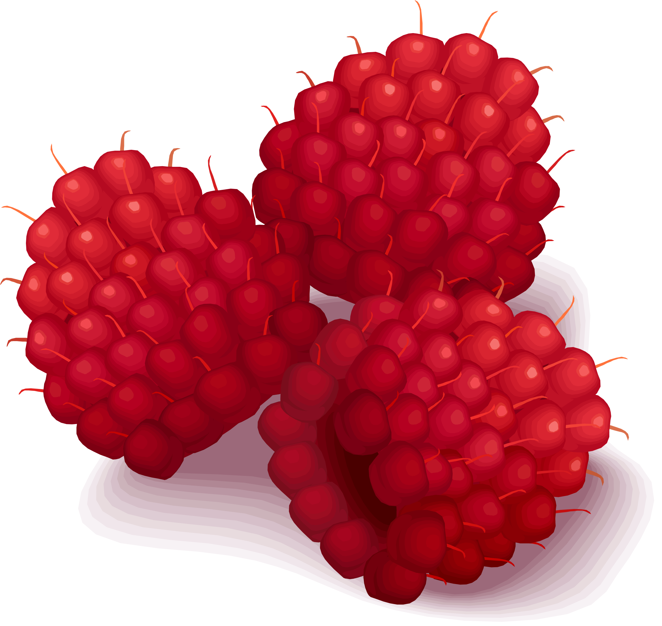 Download Open - Raspberry Clip Art PNG Image with No Background ...