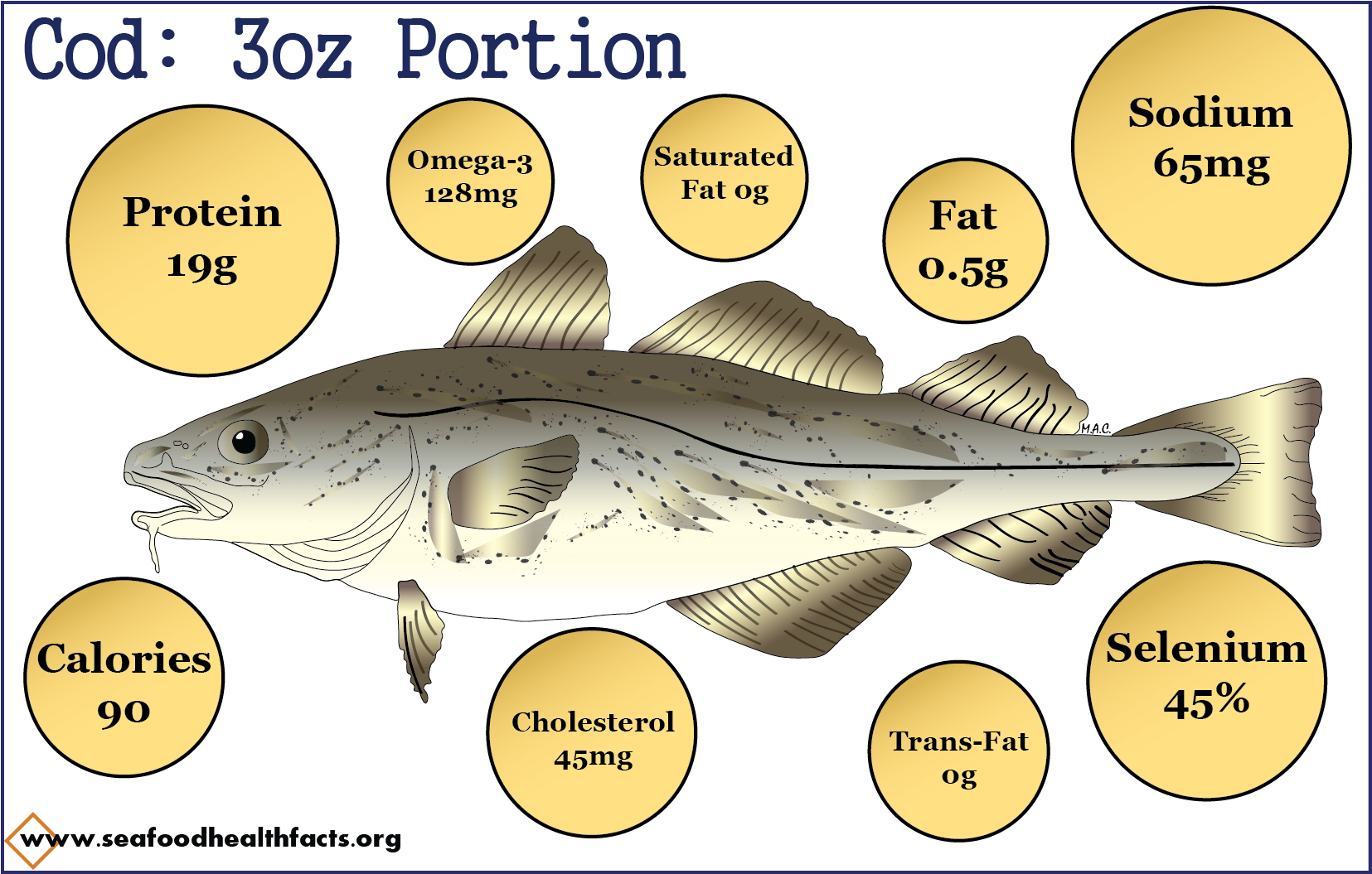 Download Cod (png) - Bass PNG Image with No Background - PNGkey.com