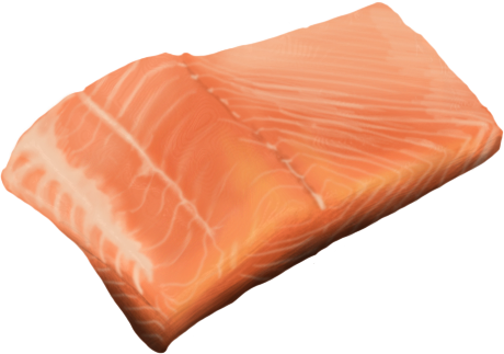 Download Fish Fillet PNG Image with No Background - PNGkey.com