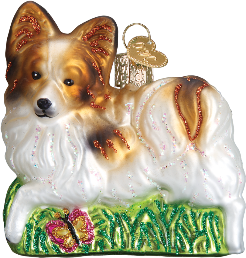 Download Papillon Png PNG Image with No Background - PNGkey.com