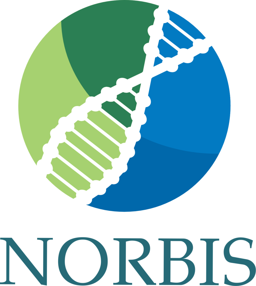 Download Norbis Logo PNG Image with No Background - PNGkey.com