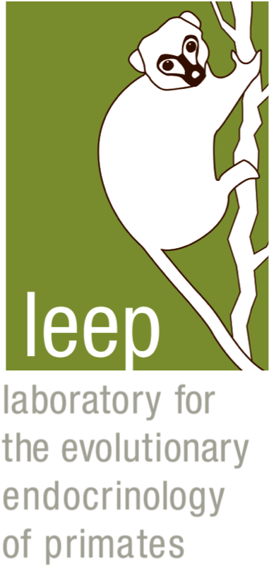 Download Leep Logo Web Transparent PNG Image with No Background ...