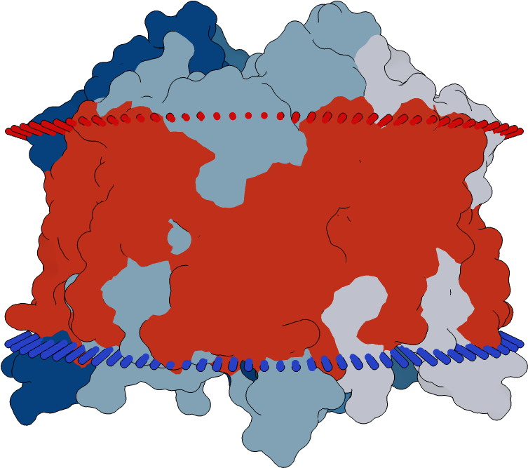 Download Transmembrane Flat Surface Display Opm PNG Image with No ...