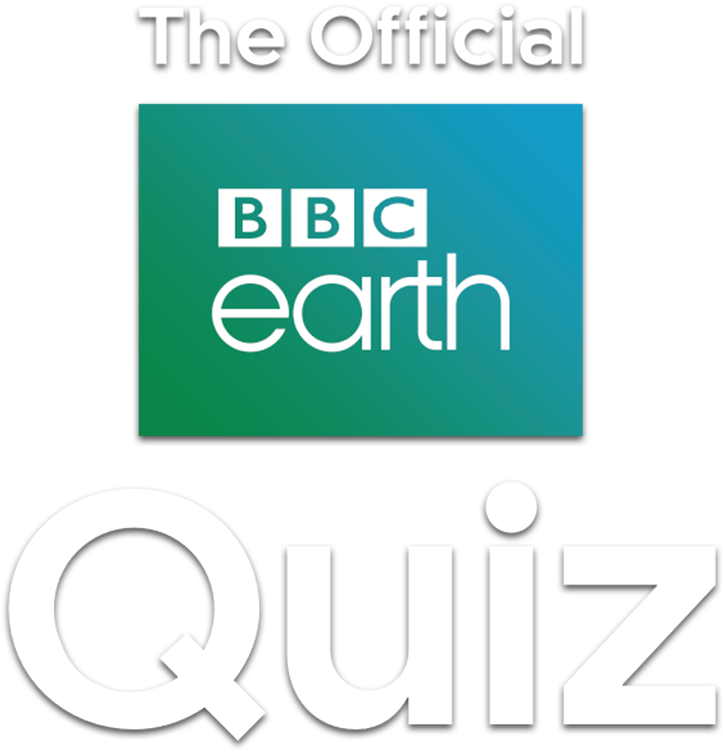 Download The Official Bbc Earth Quiz Will Test The Knowledge PNG Image ...