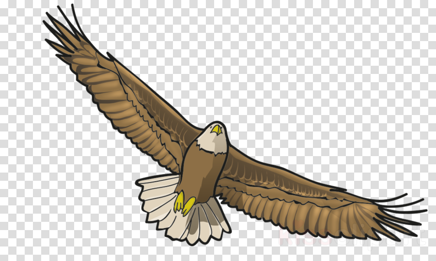 Download Phone Symbol Transparent Background Clipart Computer PNG Image ...