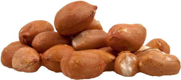 Download Df 47 Peanut Plain Kernel - Peanut Without Shell PNG Image ...