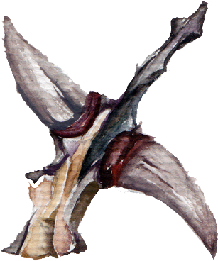 Download Into Watercolour Painting In Alphabetical Order, And - Tree ...