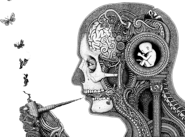 Thought Illustration Irritability Skull - Alchemy Homunculus - Free ...