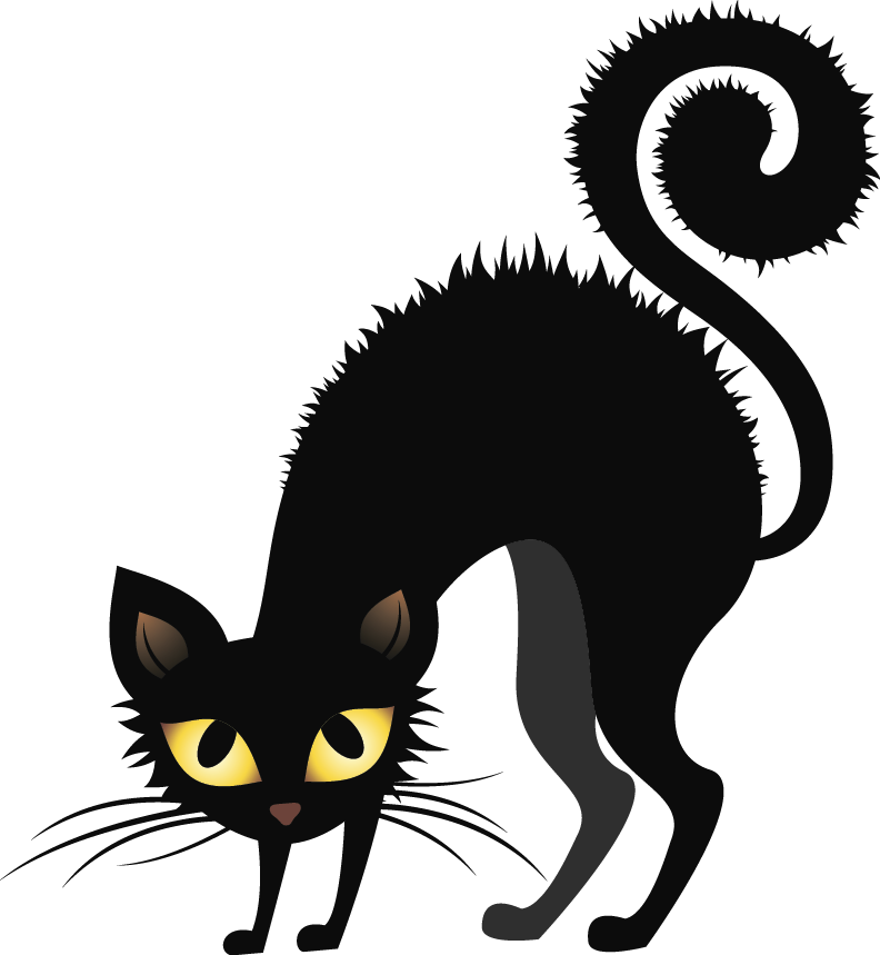 Download Bristling Black Cats - Scary Black Halloween Cat PNG Image ...