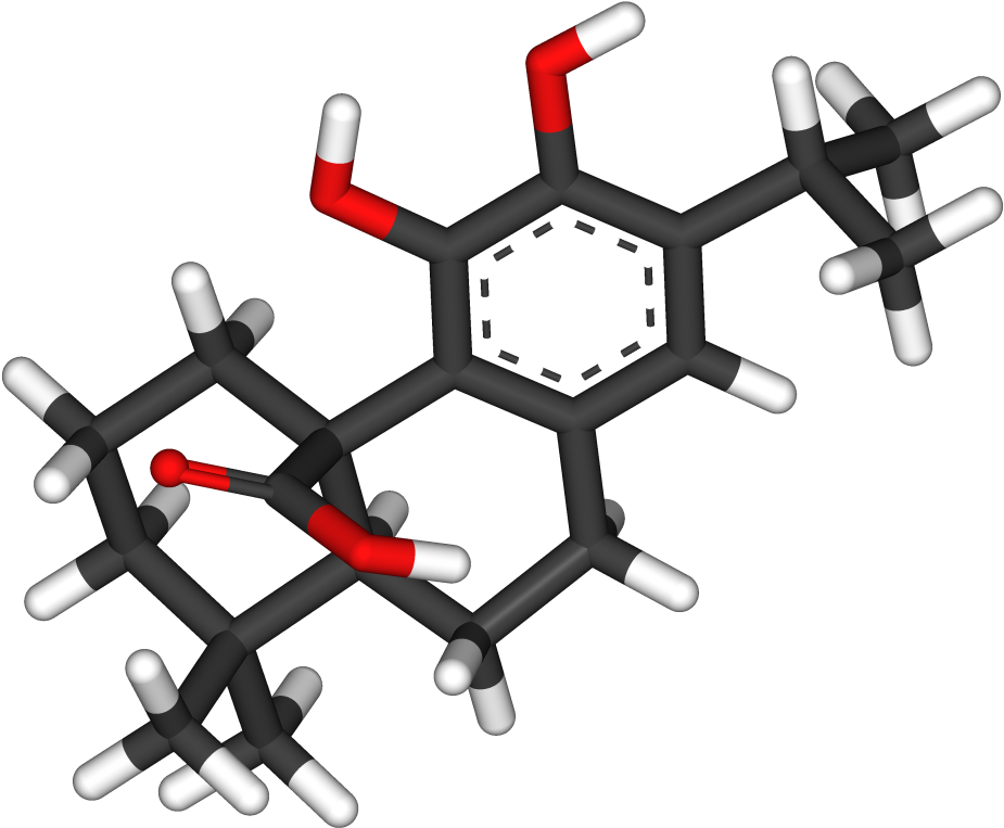 Download Carnosic Acid 3d Sticks PNG Image with No Background - PNGkey.com