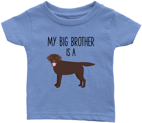 Download My Big Brother Is A Chocolate Labrador Retriever Baby PNG ...