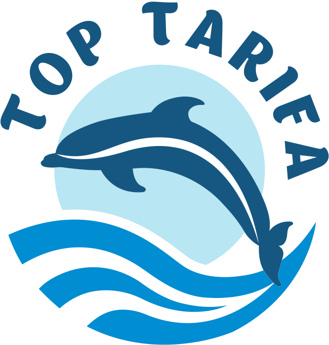 Download Top Tarifa PNG Image with No Background - PNGkey.com