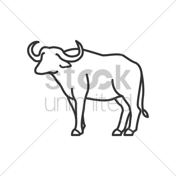 Philippine Tamaraw Drawing