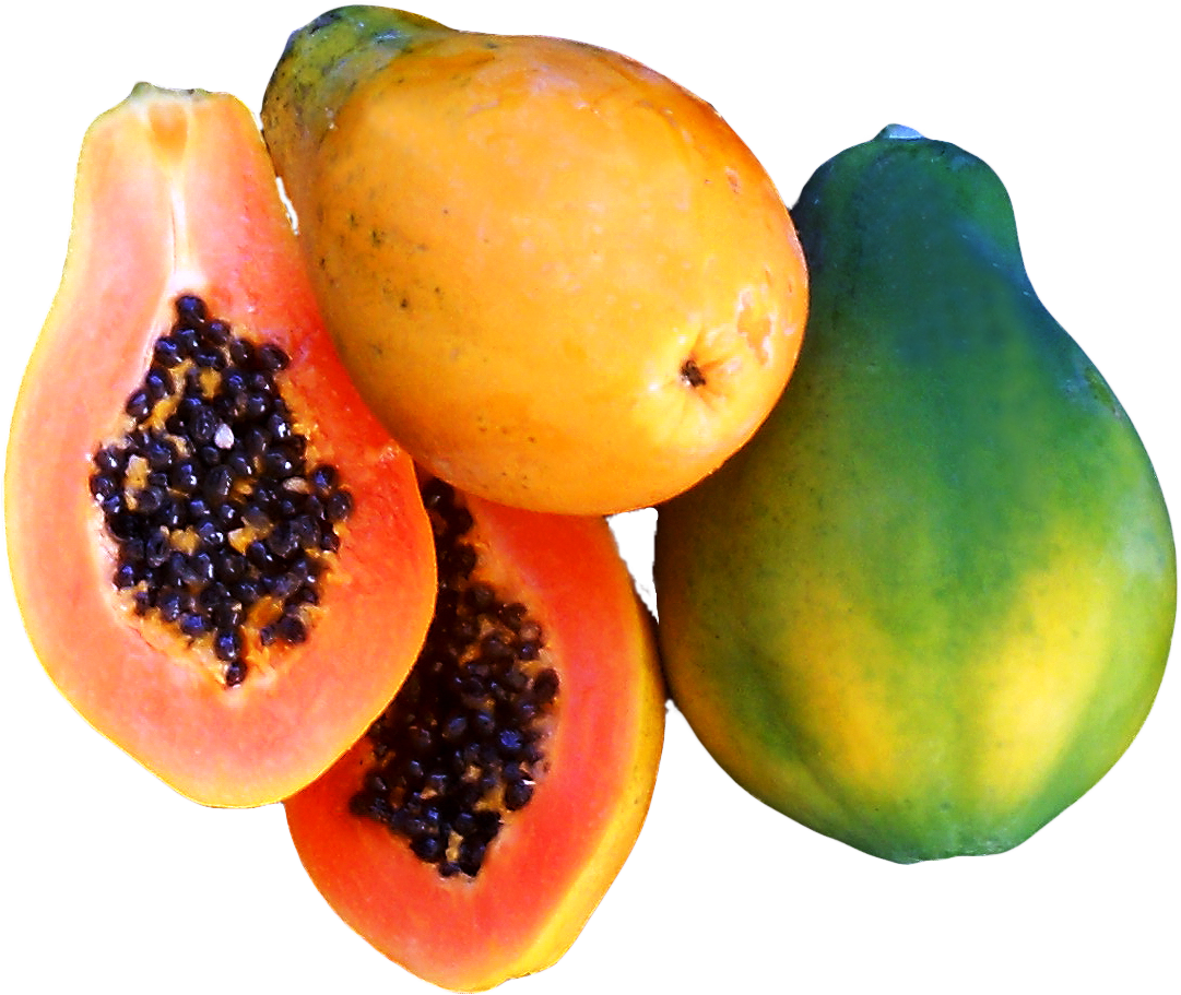 Download Fresh Papaya Png - Papaya PNG Image with No Background ...