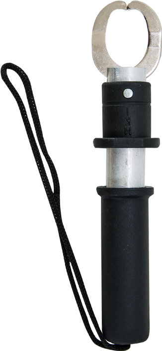 Pega Peixe Simple Mini - Free Transparent PNG Download - PNGkey