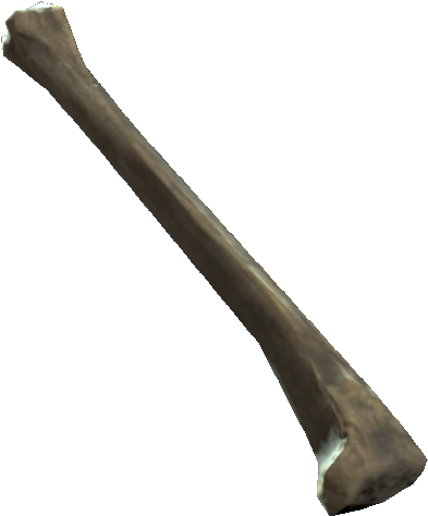 Download Tibia PNG Image with No Background - PNGkey.com