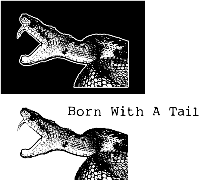 Download Snake Master PNG Image with No Background - PNGkey.com