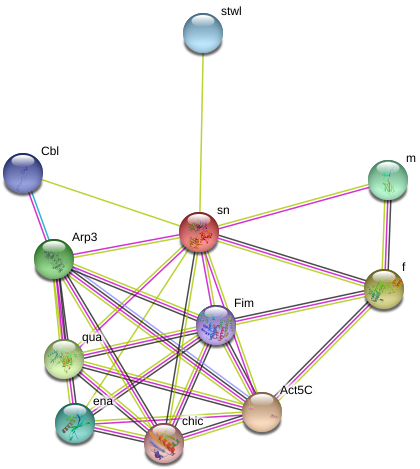 Download Singed Png PNG Image with No Background - PNGkey.com