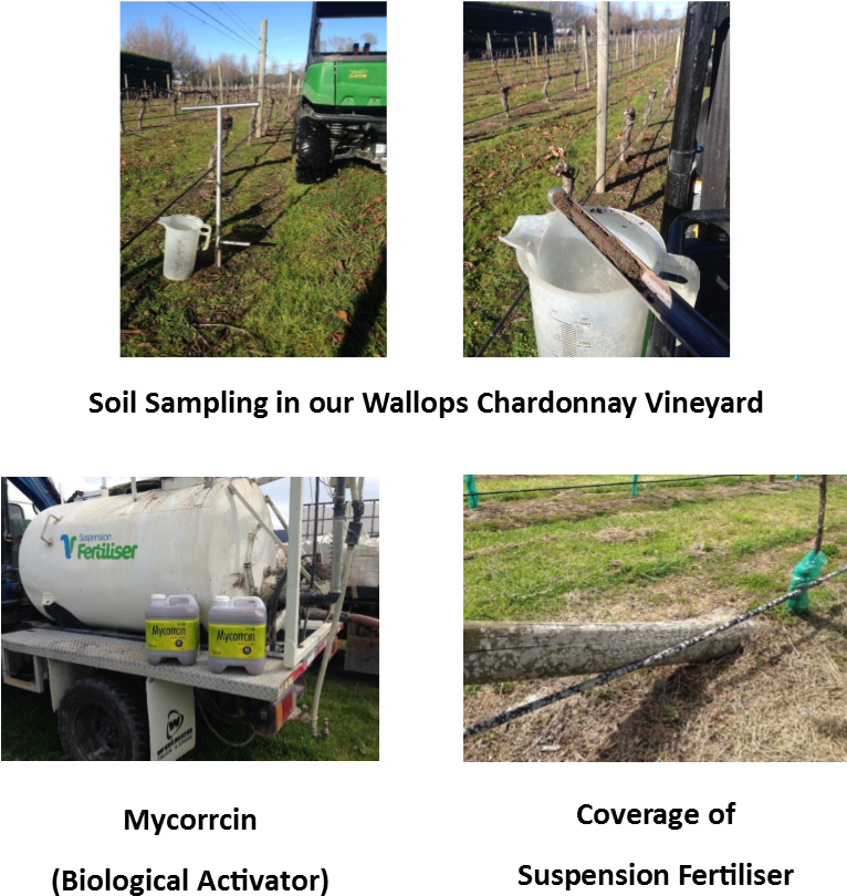 Download Soil Sampling - Field PNG Image with No Background - PNGkey.com