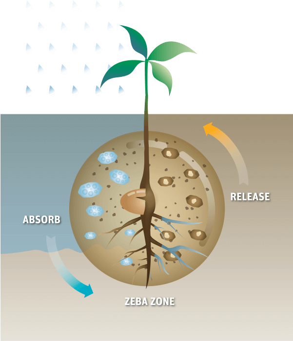 Download About Us Photo - Zeba Upl PNG Image with No Background ...