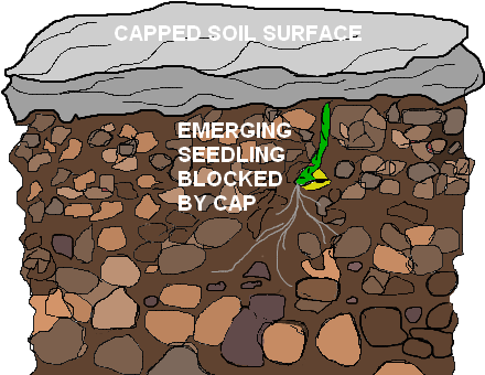 Capped Soil - Soil Surface Capping - Free Transparent PNG Download - PNGkey