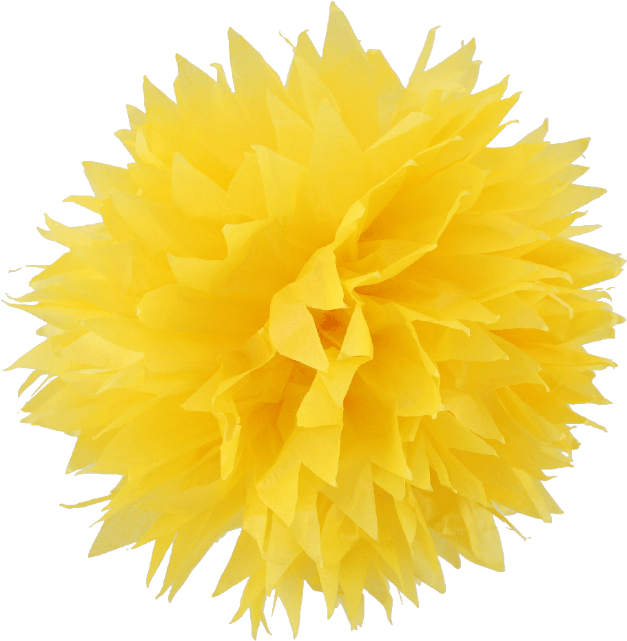 Download Yellow Pom Poms PNG Image with No Background - PNGkey.com