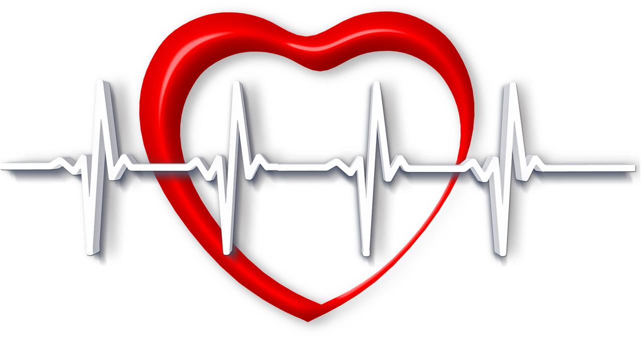 Download Heart Rate PNG Image with No Background - PNGkey.com