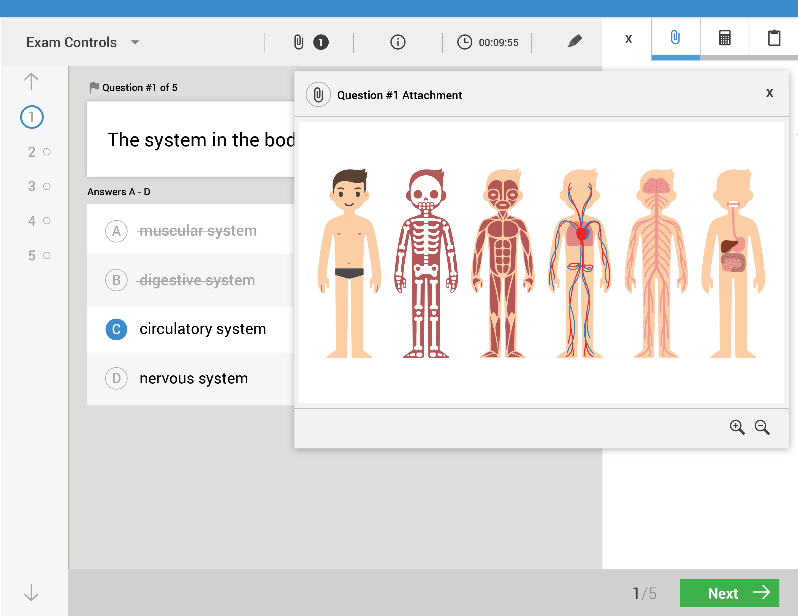 Download Examplify In 3 Easy Steps - Cartoon Body Anatomy PNG Image ...
