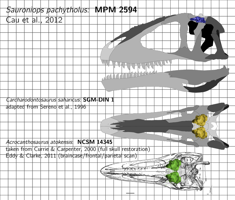 Download Sauron Png PNG Image with No Background - PNGkey.com