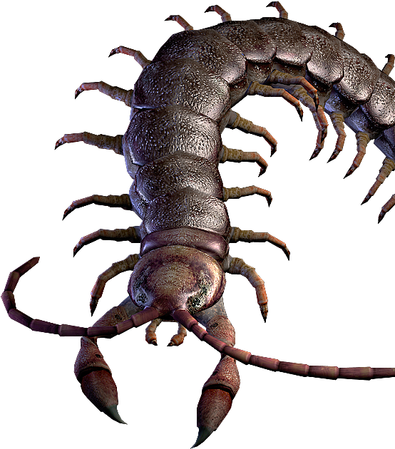 Download Centurion PNG Image with No Background - PNGkey.com