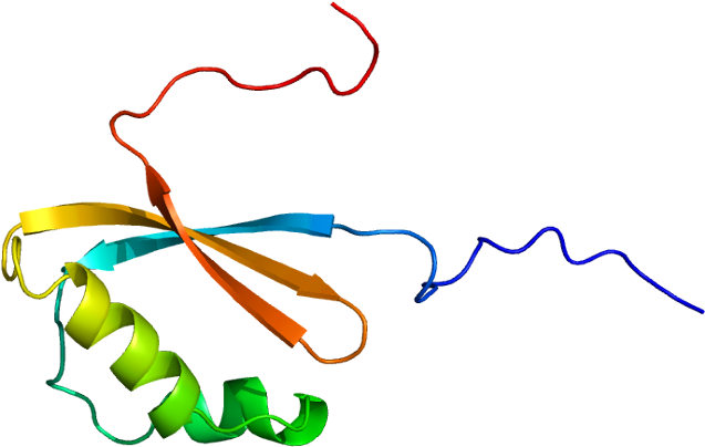Download Ribosomes Png PNG Image with No Background - PNGkey.com