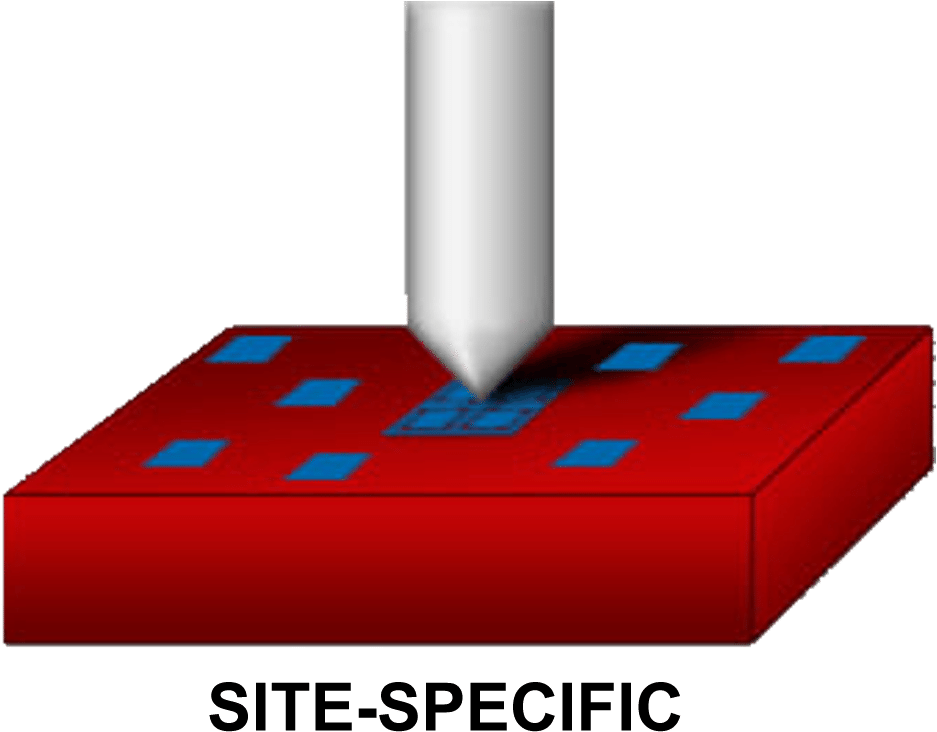 Download Image PNG Image with No Background - PNGkey.com