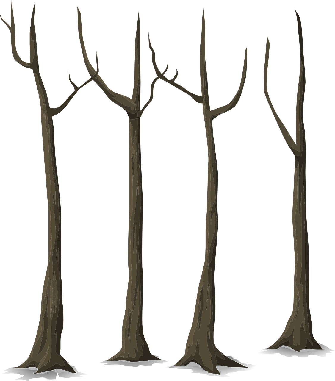 Forest, Trees, Dead, Autumn, Forest, Plants - Free Transparent PNG ...