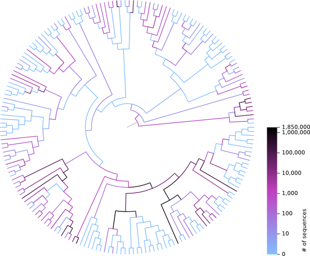 Download Phylogenetic Tree With Coloured Branches PNG Image with No ...