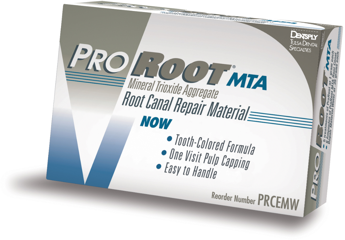 Download Image For Proroot Mta Root Repair Material White Refill PNG ...