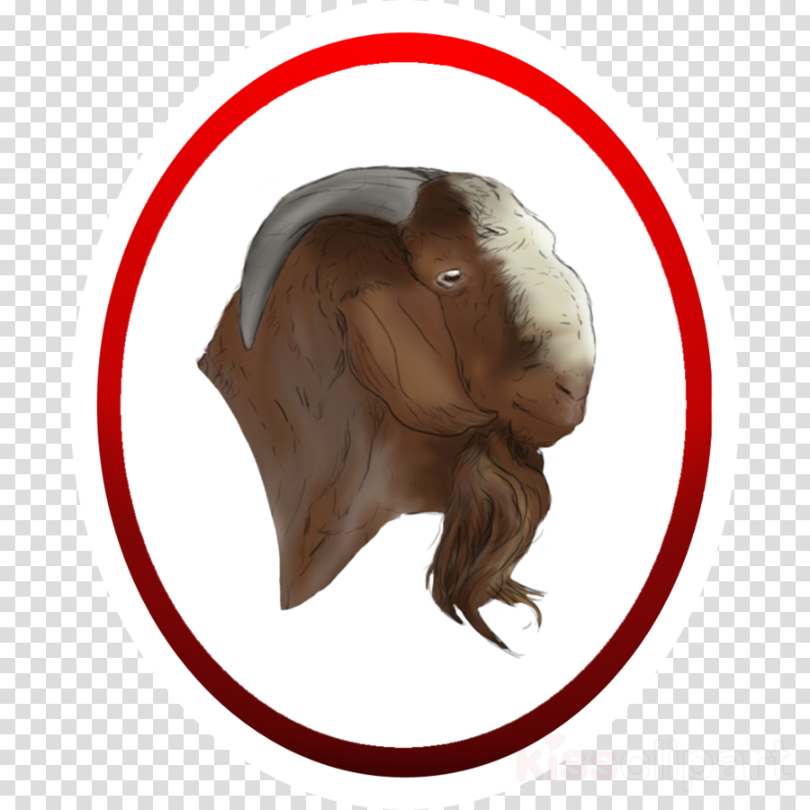 Download Boer Goat Png Clipart Boer Goat Angora Goat Goat Farming PNG ...
