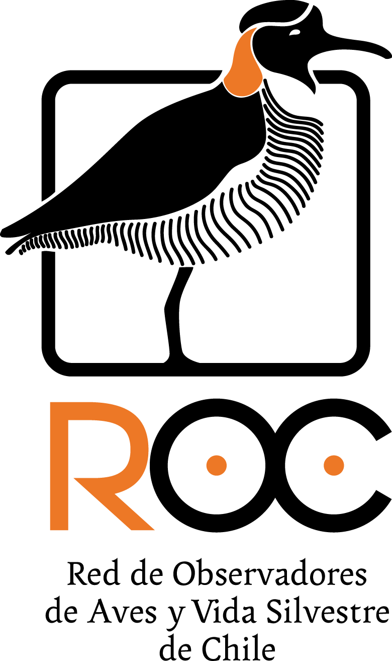 Download Logo Roc PNG Image with No Background - PNGkey.com