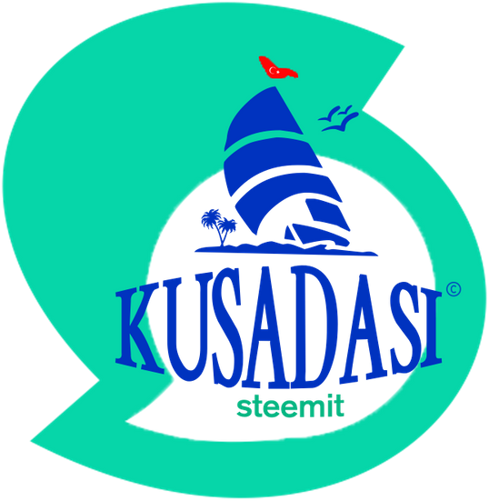 Download Steemit Logo 1 PNG Image with No Background - PNGkey.com