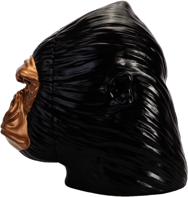 Download Darwin Face Darwin Side Profile PNG Image with No Background ...