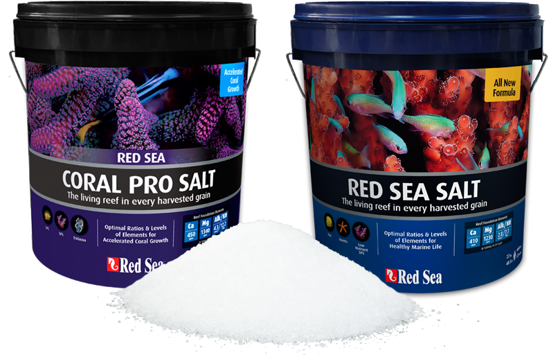 Download Red Sea Salt, Bucket PNG Image with No Background - PNGkey.com