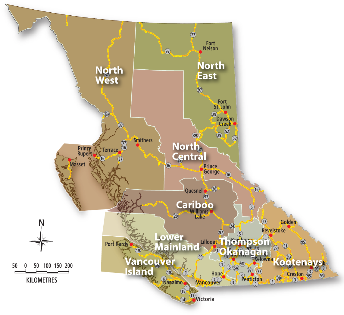 Download Twitter Follow Png PNG Image with No Background - PNGkey.com